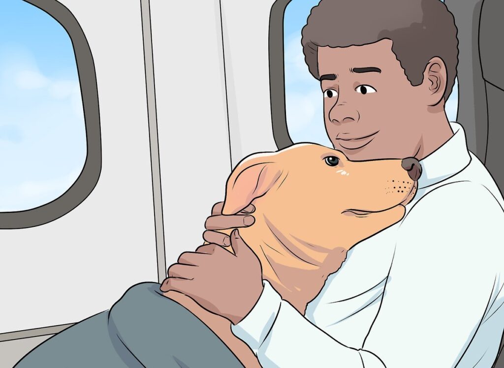 Certificado de mascota como apoyo emocional - Psicólogo Daniel Acuña ...